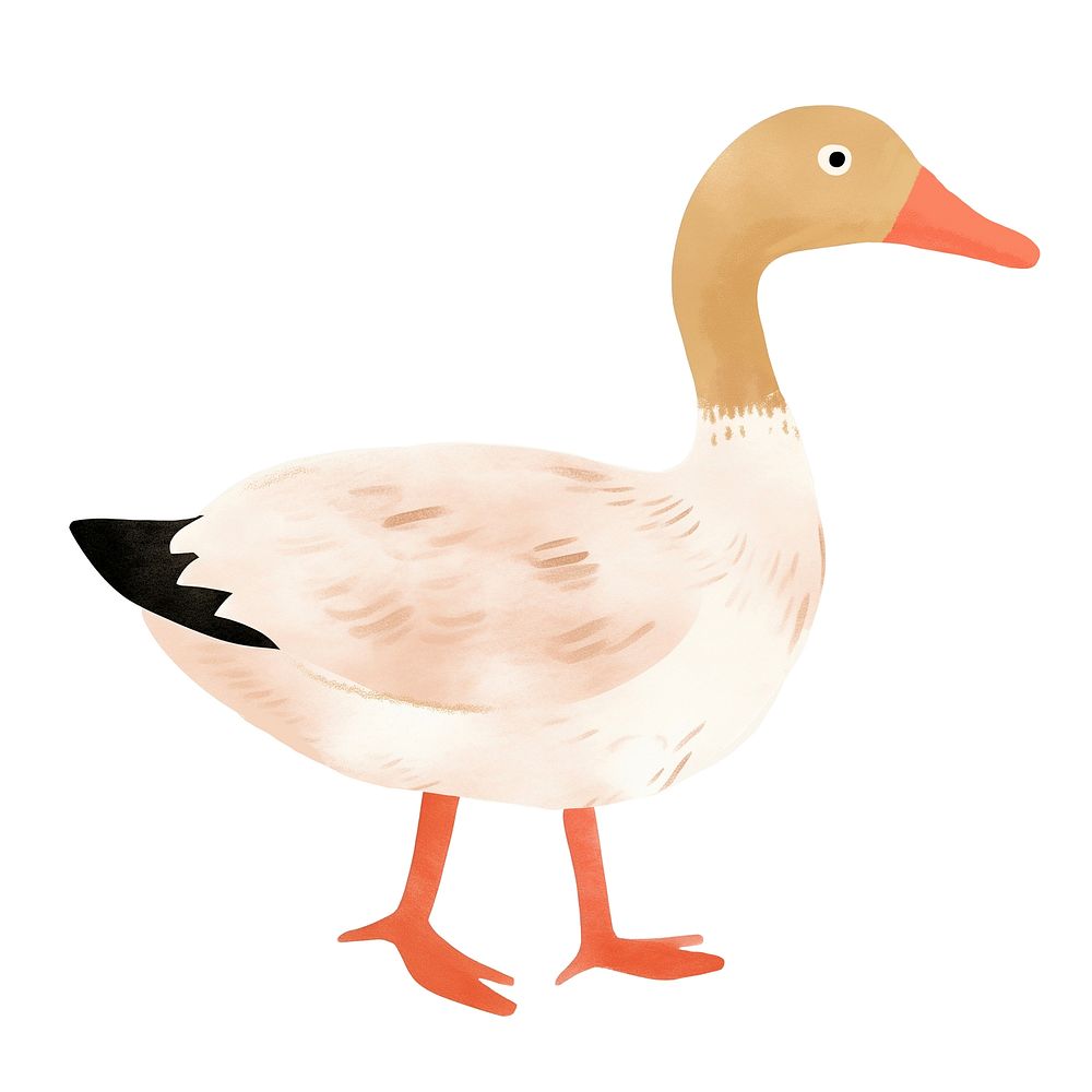 Duck farm animal digital art | Free Photo Illustration - rawpixel