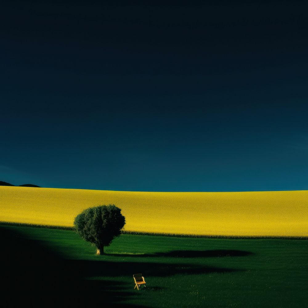 Photo Midsummer landscape grassland outdoors. | Free Photo - rawpixel