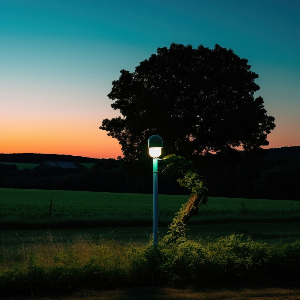 Photo Summer Solstice backlighting outdoors | Free Photo - rawpixel