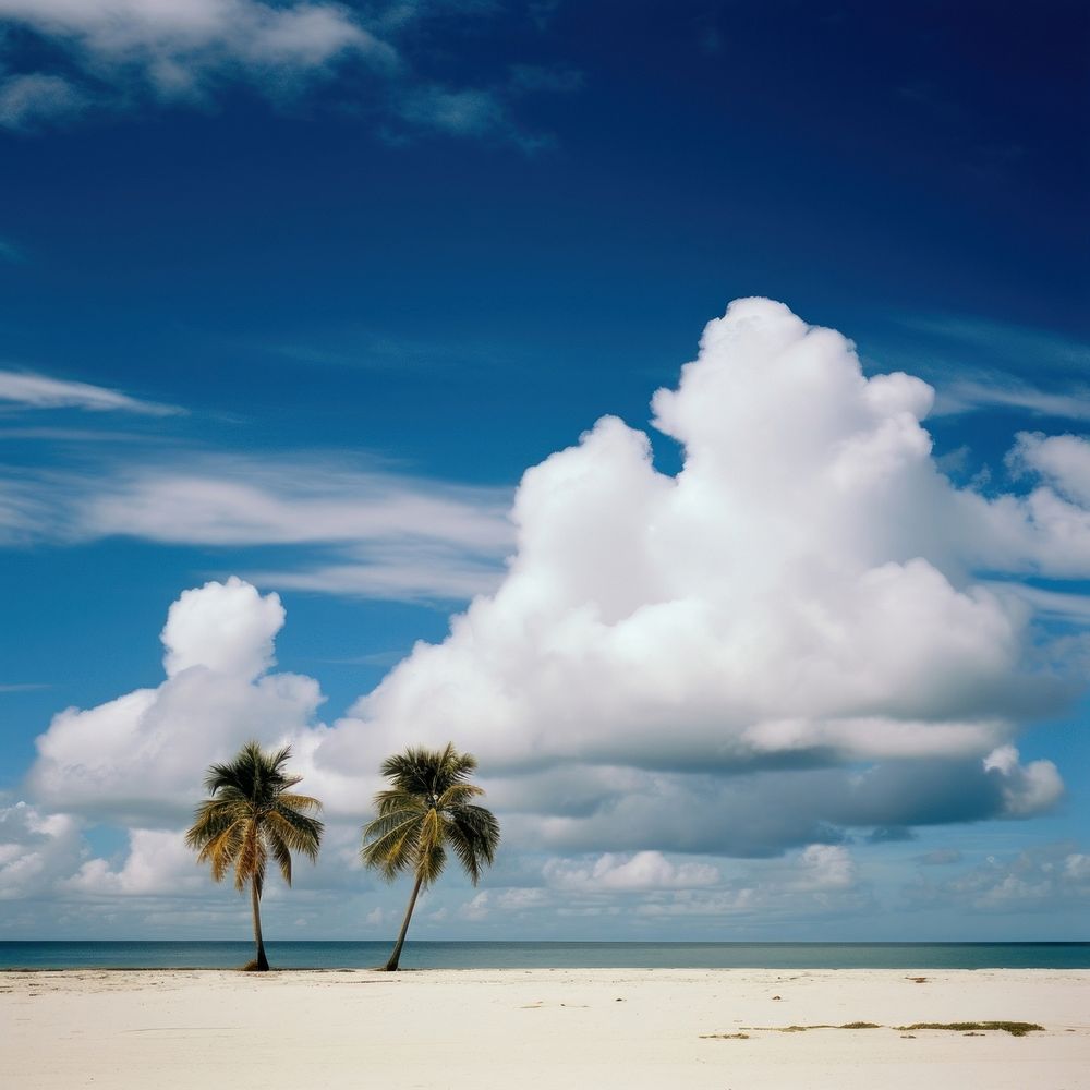 Tropical beach tropical cloud sky. | Free Photo - rawpixel