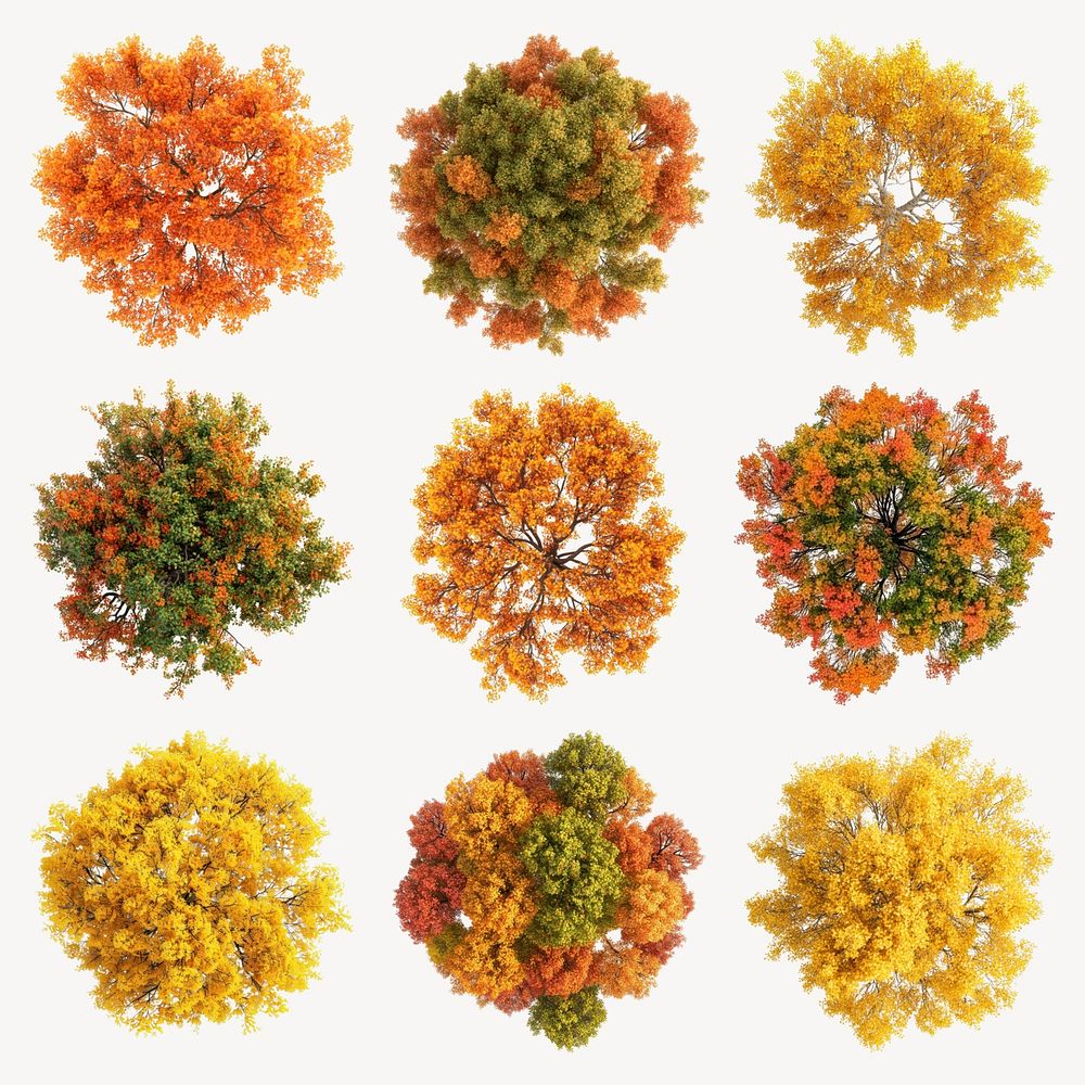 Autumn tree top view design | Free Photo - rawpixel