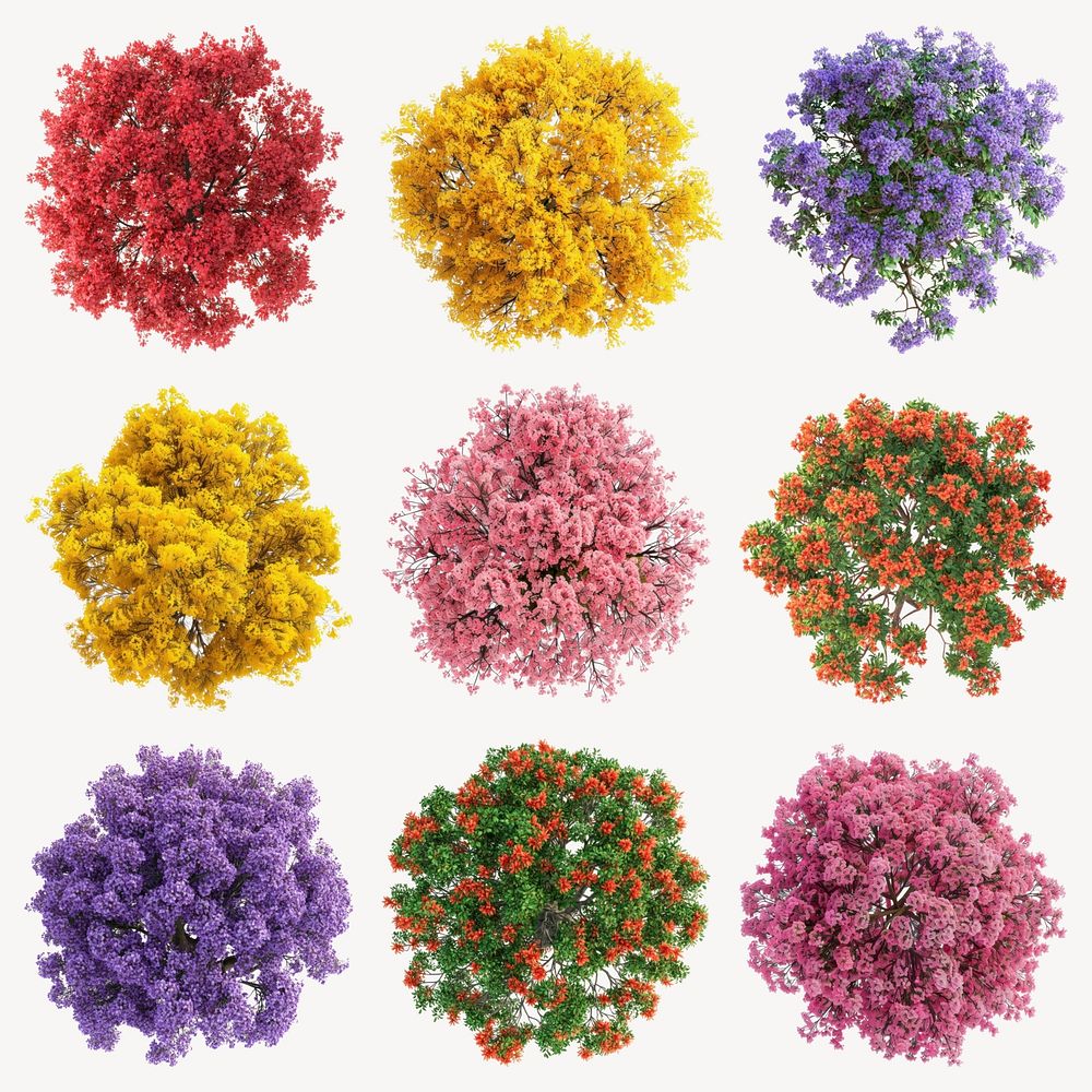 Flower tree top view design | Free Photo - rawpixel