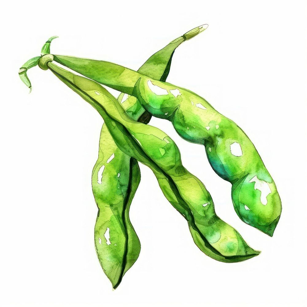 An isolated japanese edamame illustration | Free Photo Illustration ...
