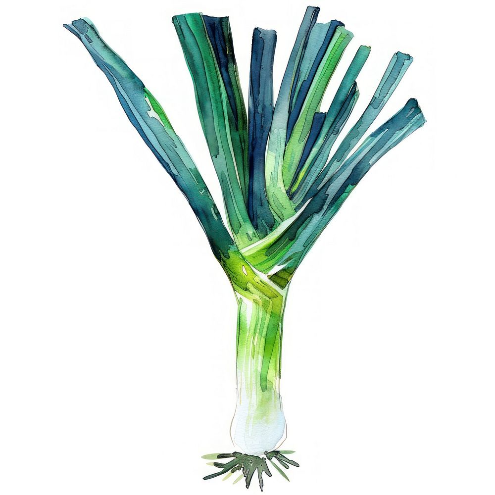 An isolated fresh leek food | Free Photo Illustration - rawpixel