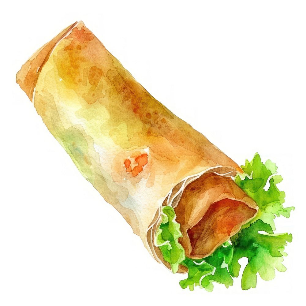 An isolated spring roll food | Free Photo Illustration - rawpixel