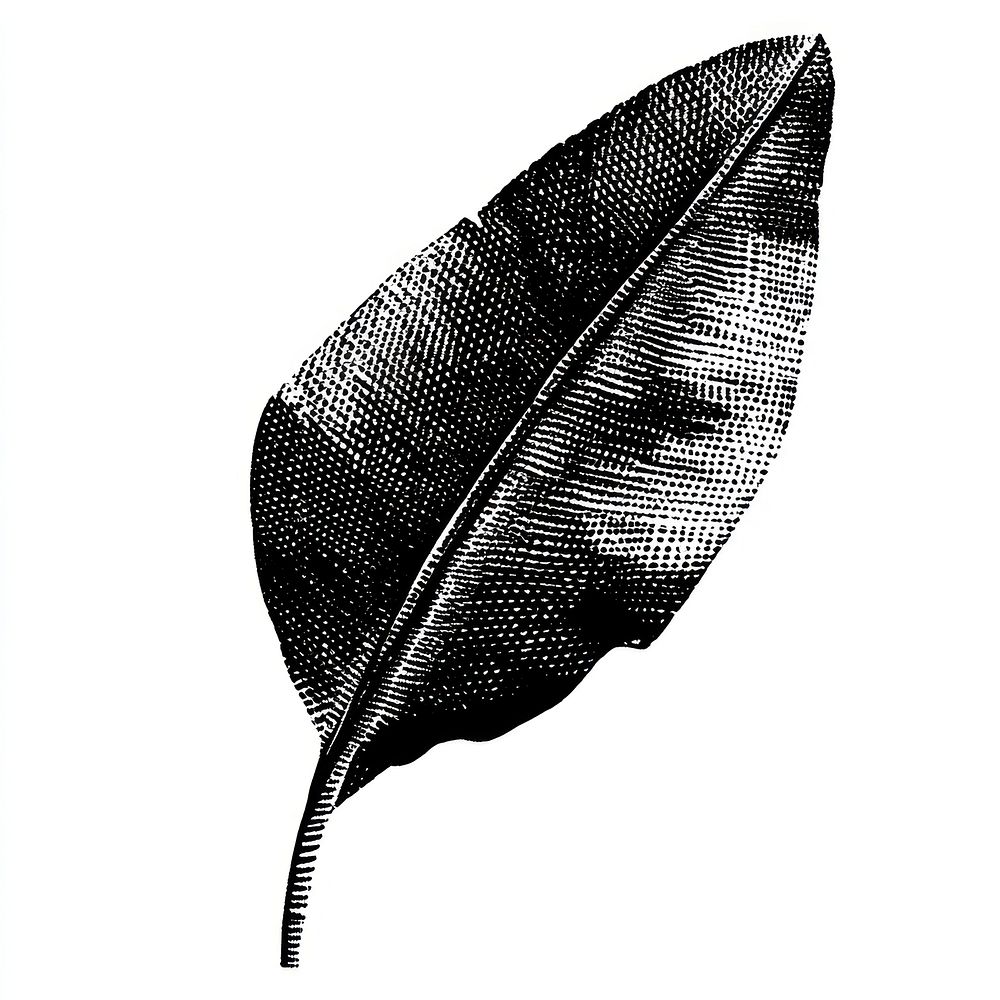 Tropical leaf retro photocopy stipple | Free Photo Illustration - rawpixel