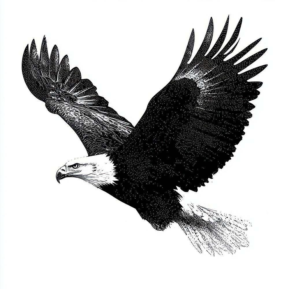 Eagle retro photocopy stipple effect | Free Photo Illustration - rawpixel