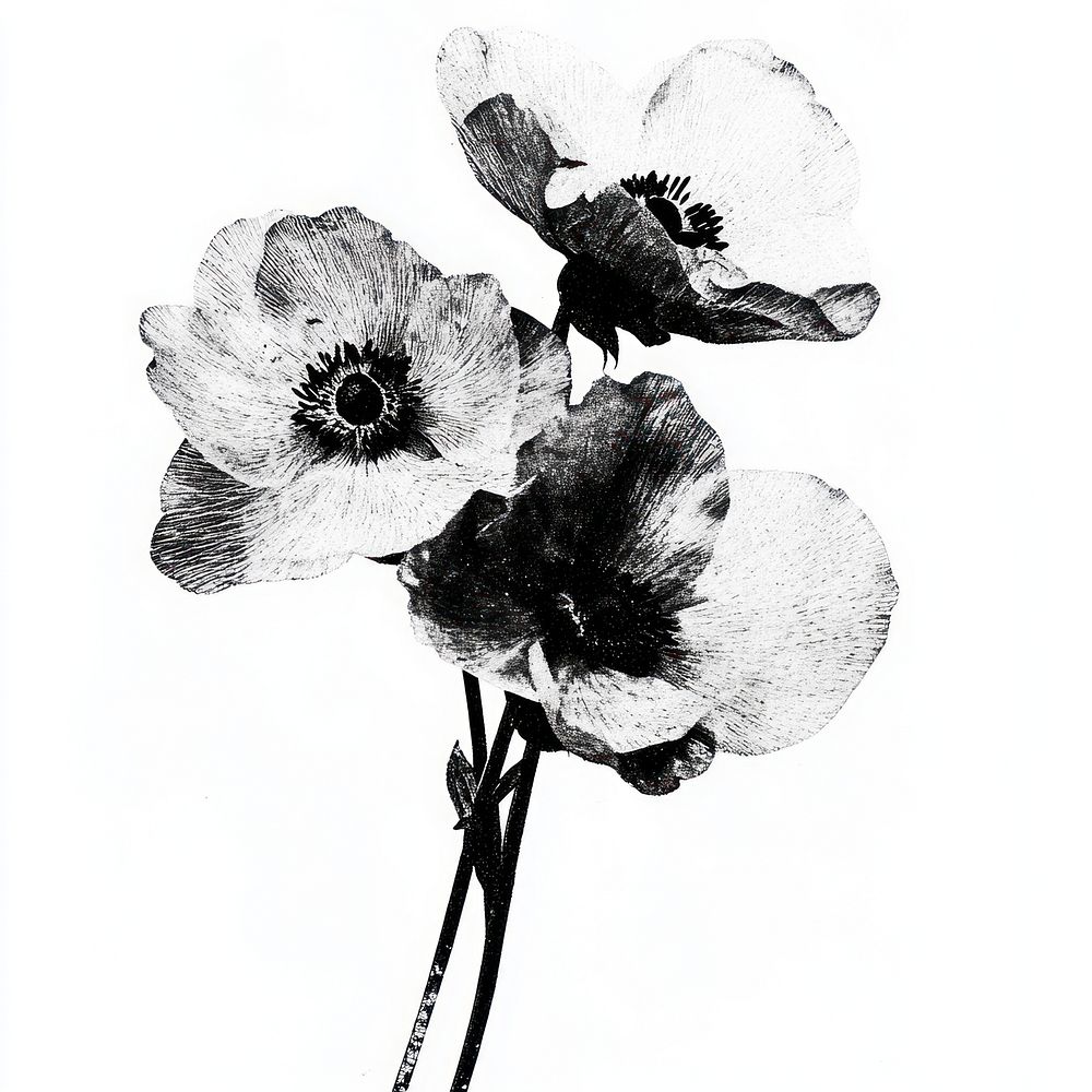 Flowers retro photocopy stipple effect | Free Photo Illustration - rawpixel