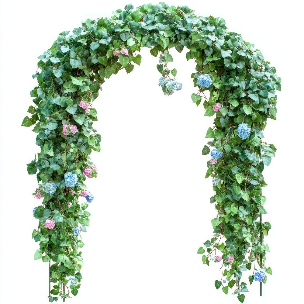 Real flower ivy bushes arch | Free Photo - rawpixel