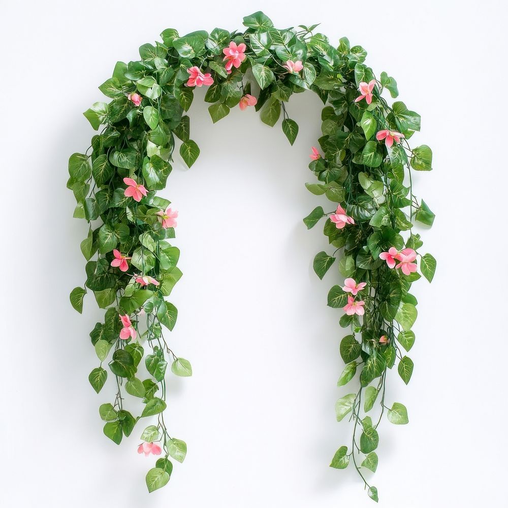 Real ivy flower bushes flowers | Free Photo - rawpixel