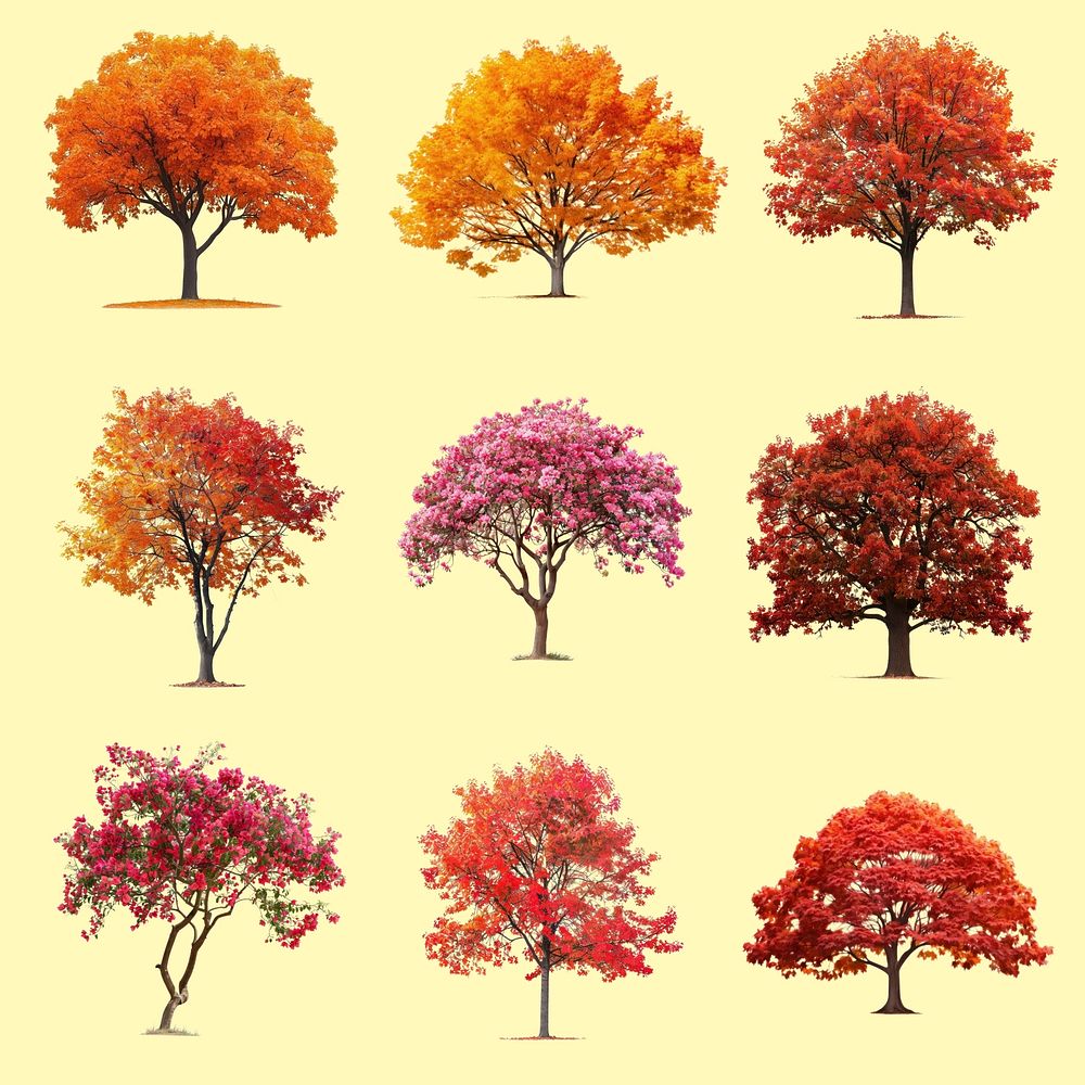 Autumn tree design element set | Free Photo - rawpixel