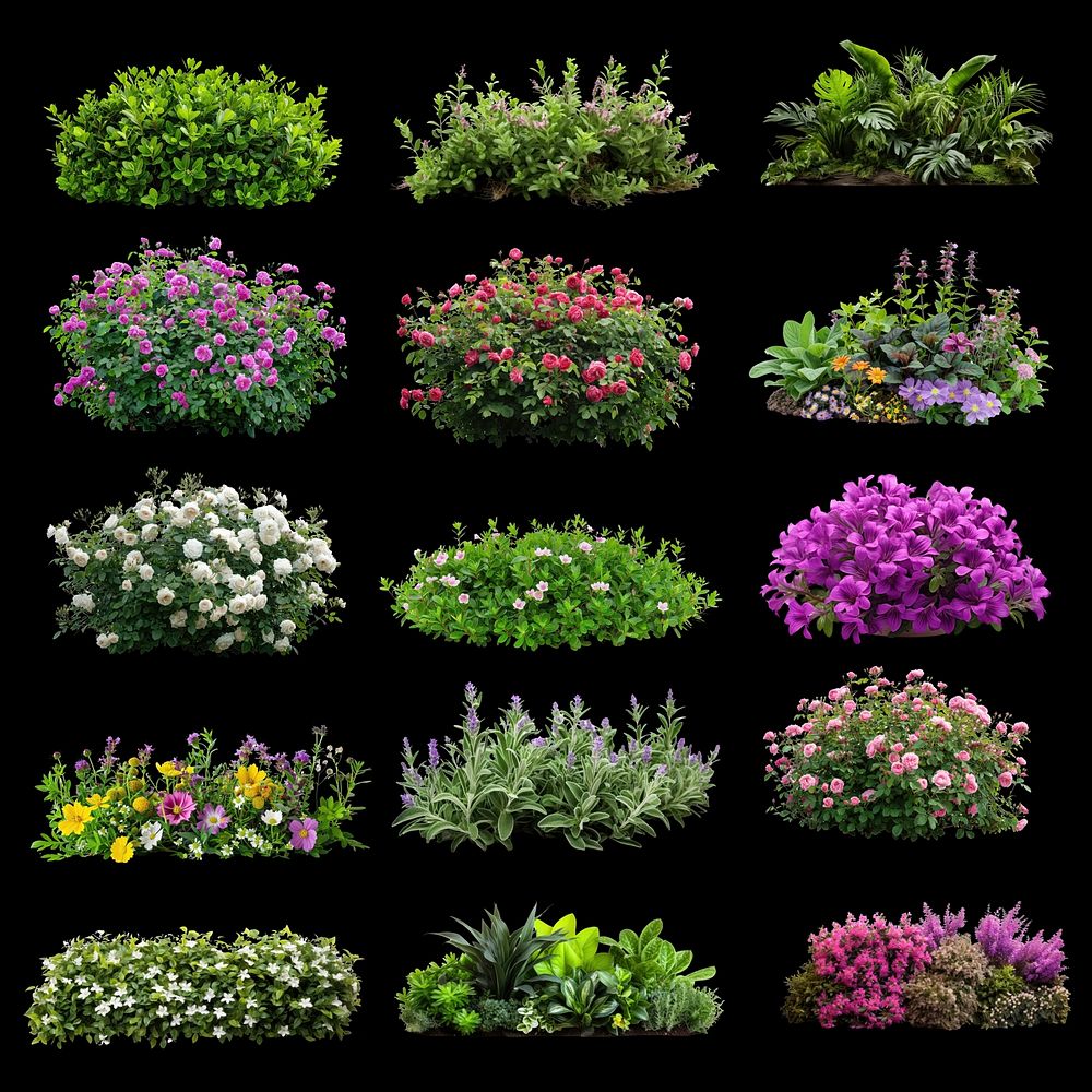 Bush design element set | Free Photo - rawpixel