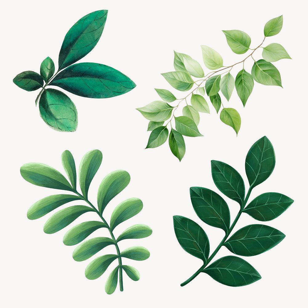 Plant leaf digital art design | Free Photo - rawpixel