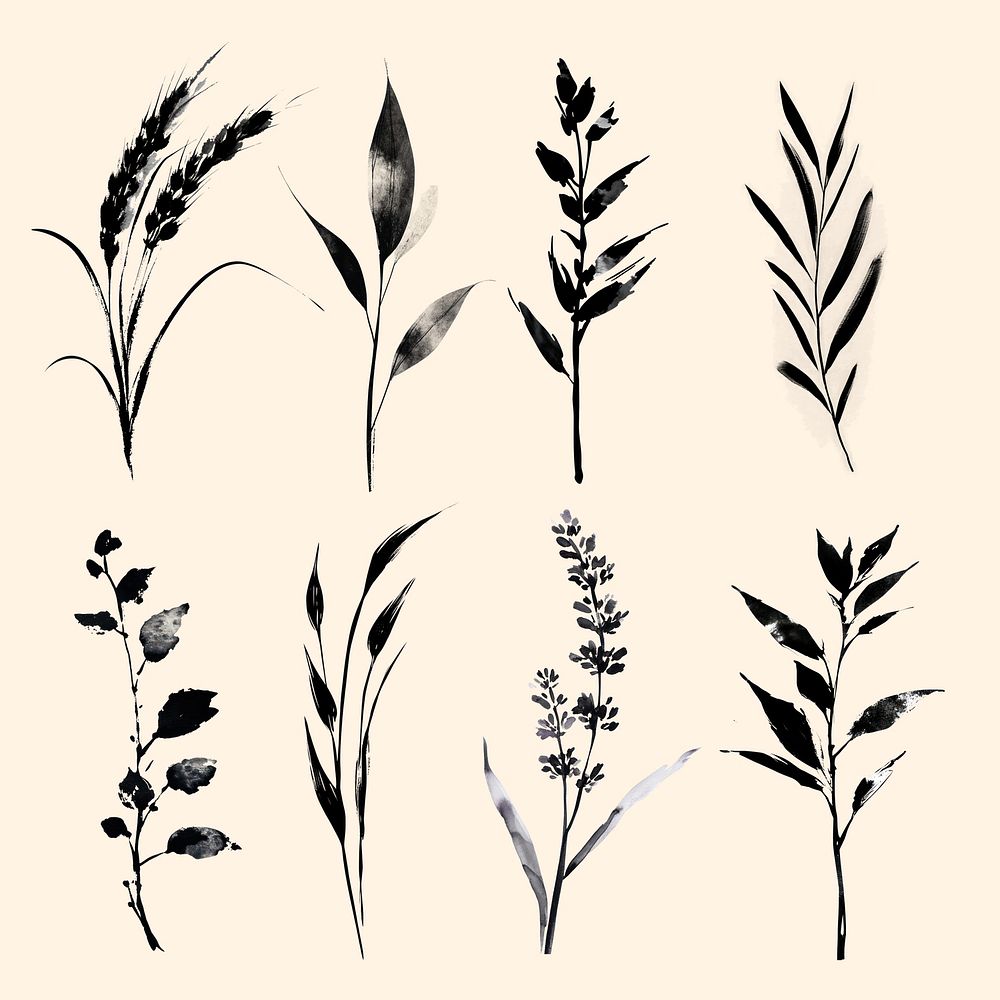 Botanical black ink design element | Free Photo - rawpixel