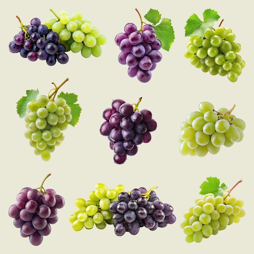 Grapes fruit design element set | Free Photo - rawpixel