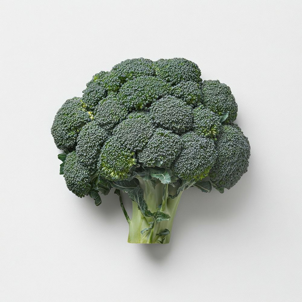 1 real broccoli vegetable produce | Free Photo - rawpixel