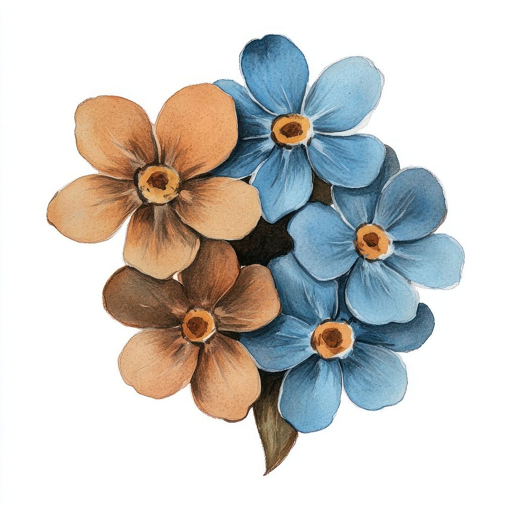 Aesthetic Forget-Me-Nots flower flowers nature | Free Photo ...