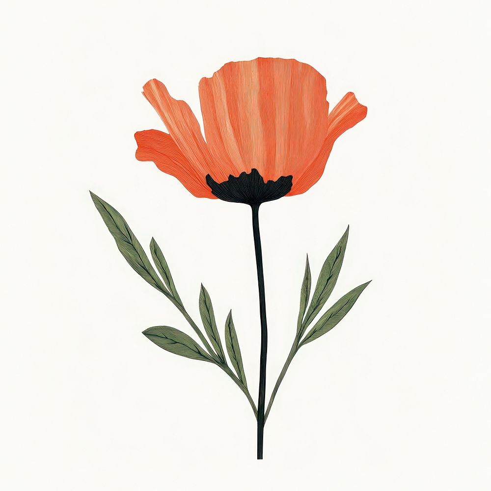 Poppy flower design print. | Free Photo Illustration - rawpixel
