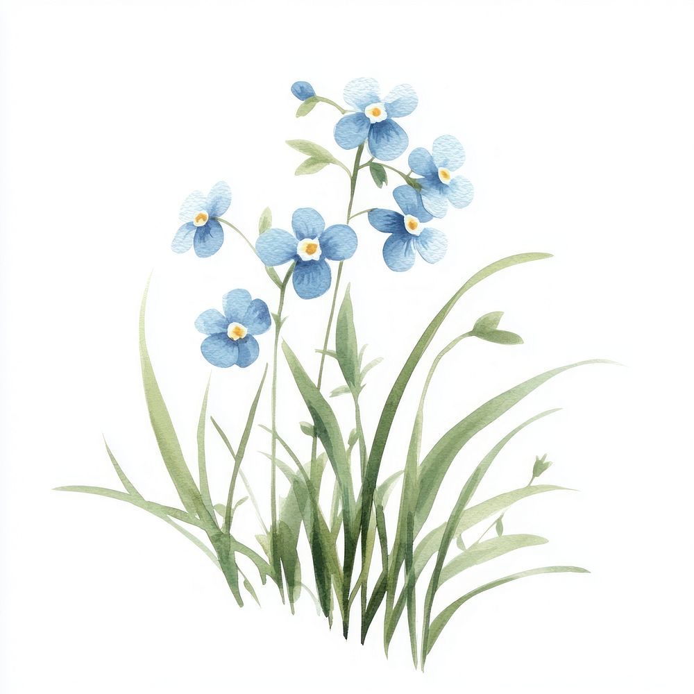 Aesthetic spring Forget-Me-Nots flower flowers | Free Photo ...