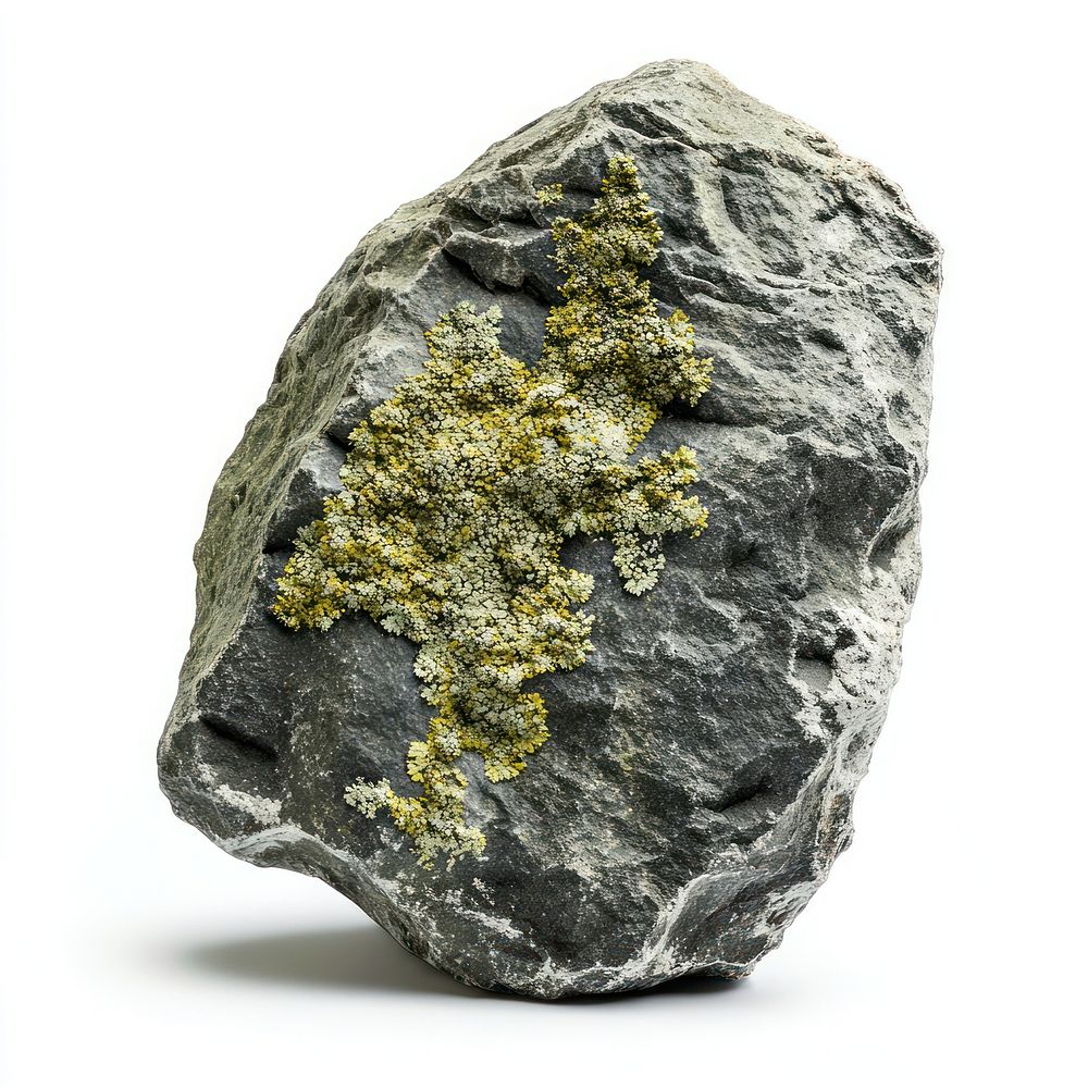 Andesite Rock lichen rock surface | Free Photo - rawpixel