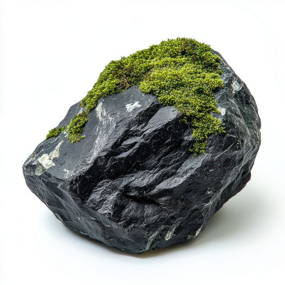 Moss-Covered Coal Rock rock moss | Free Photo - rawpixel