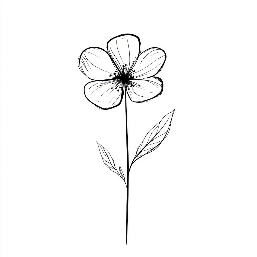 Cute flower scribble drawing sketch | Free Photo Illustration - rawpixel