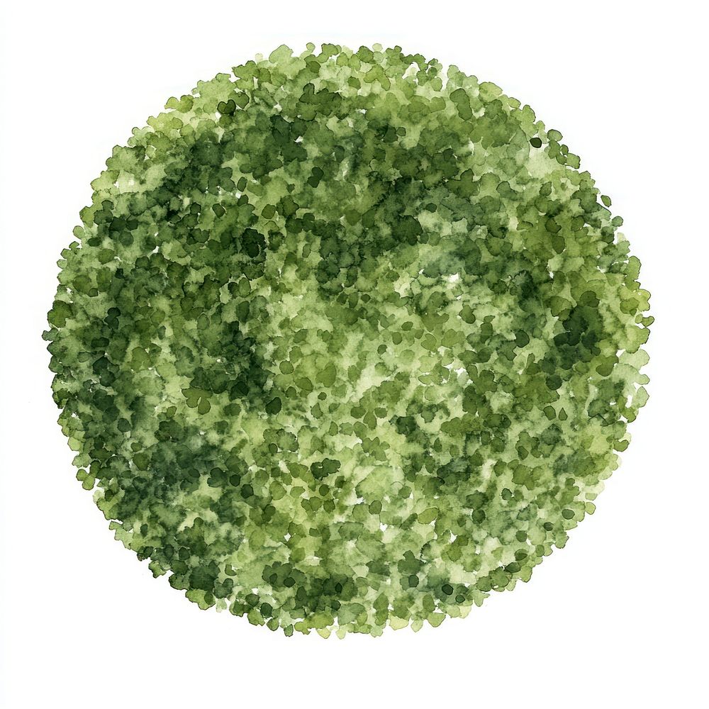 Green tree illustration watercolor texture. | Free Photo Illustration ...