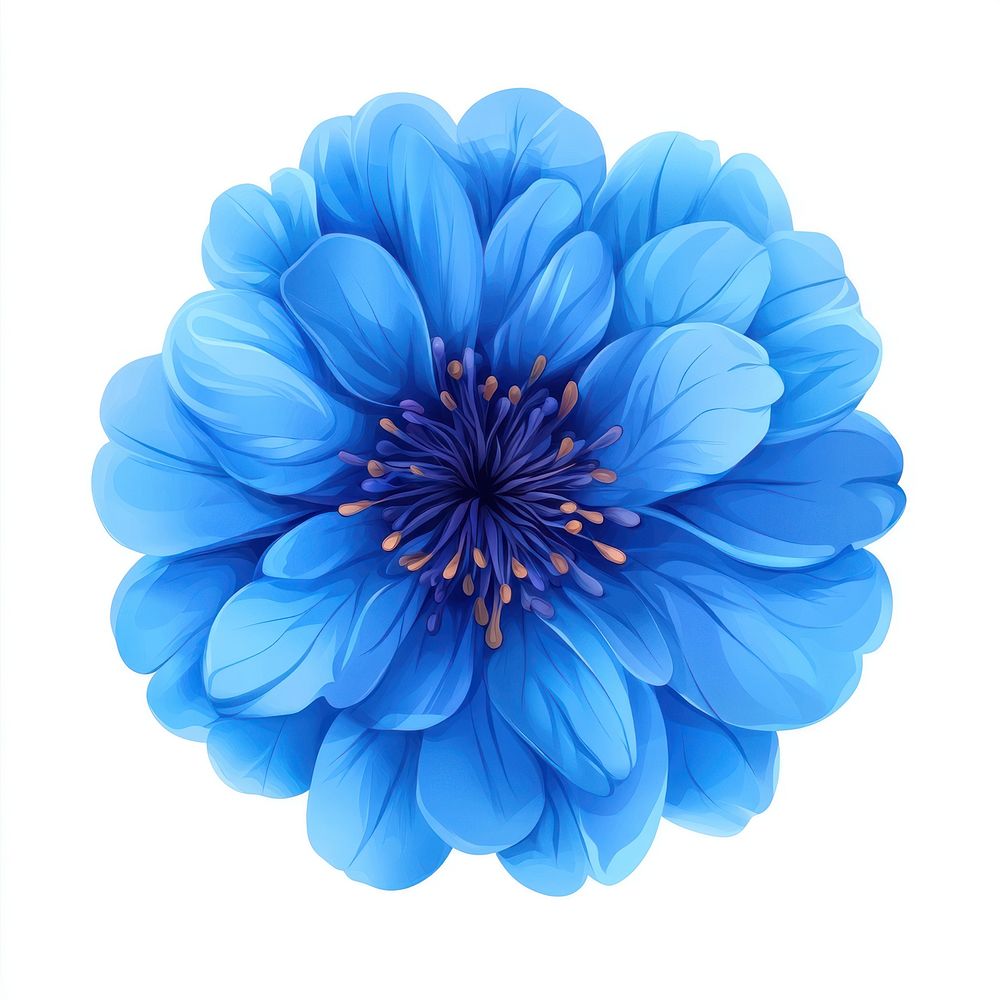 Real blue flower illustration asteraceae | Free Photo Illustration ...