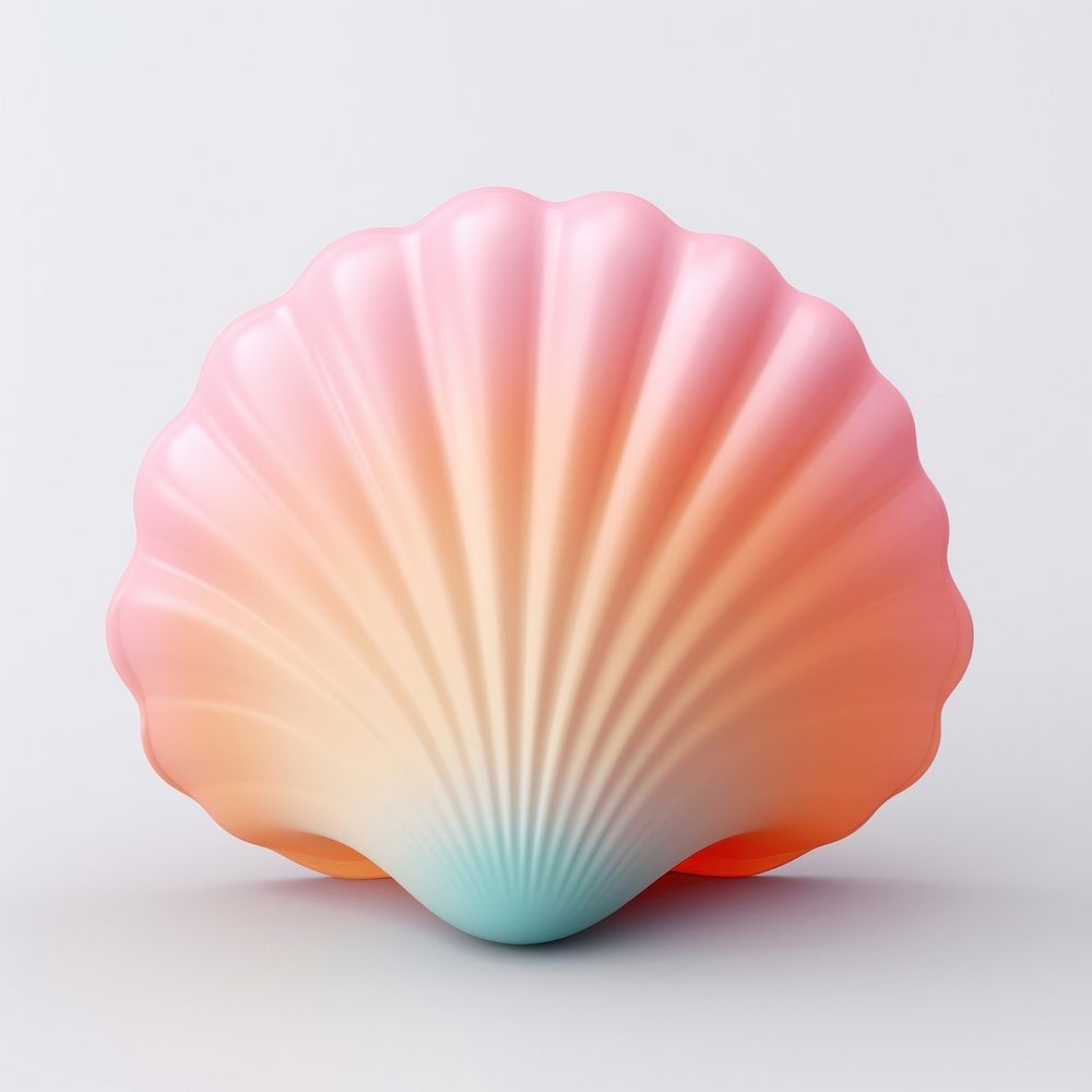 Summer Seashell seashell colors invertebrate. | Free Photo Illustration ...