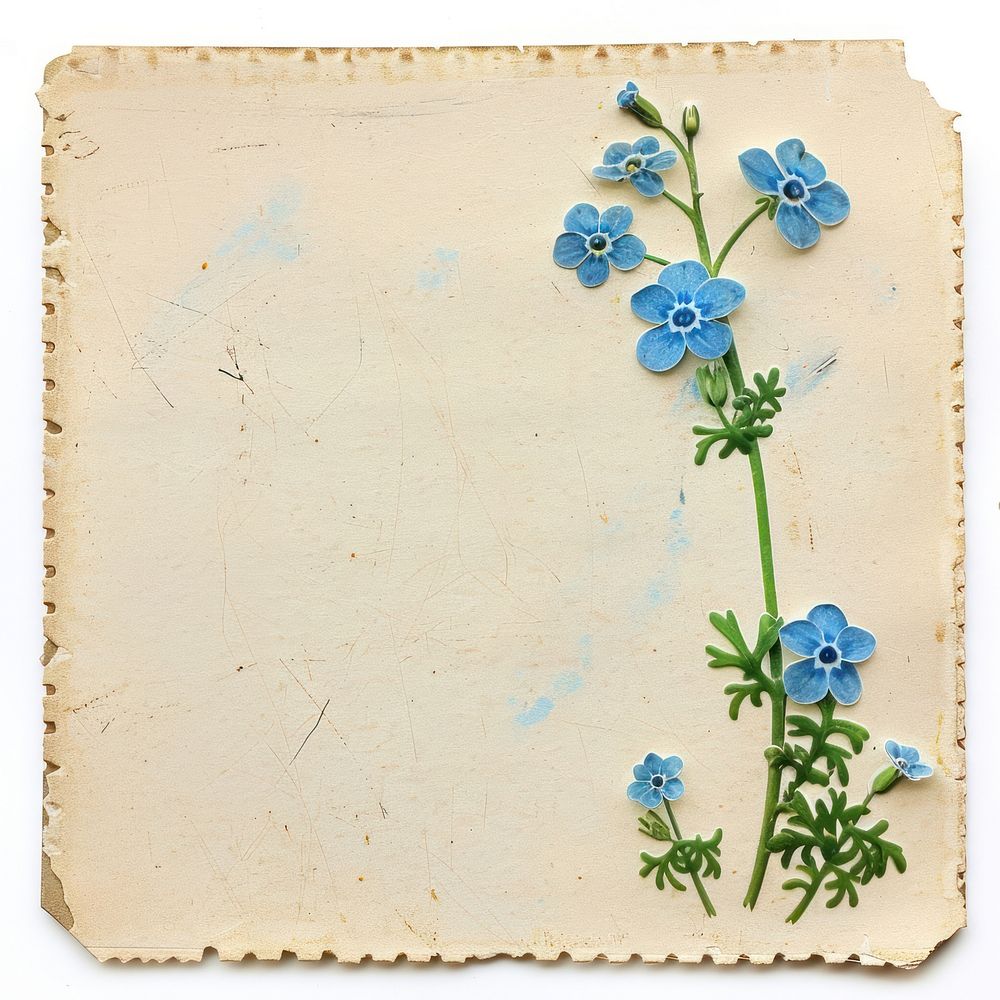 Forget-Me-Nots flower flowers paper art | Free Photo - rawpixel