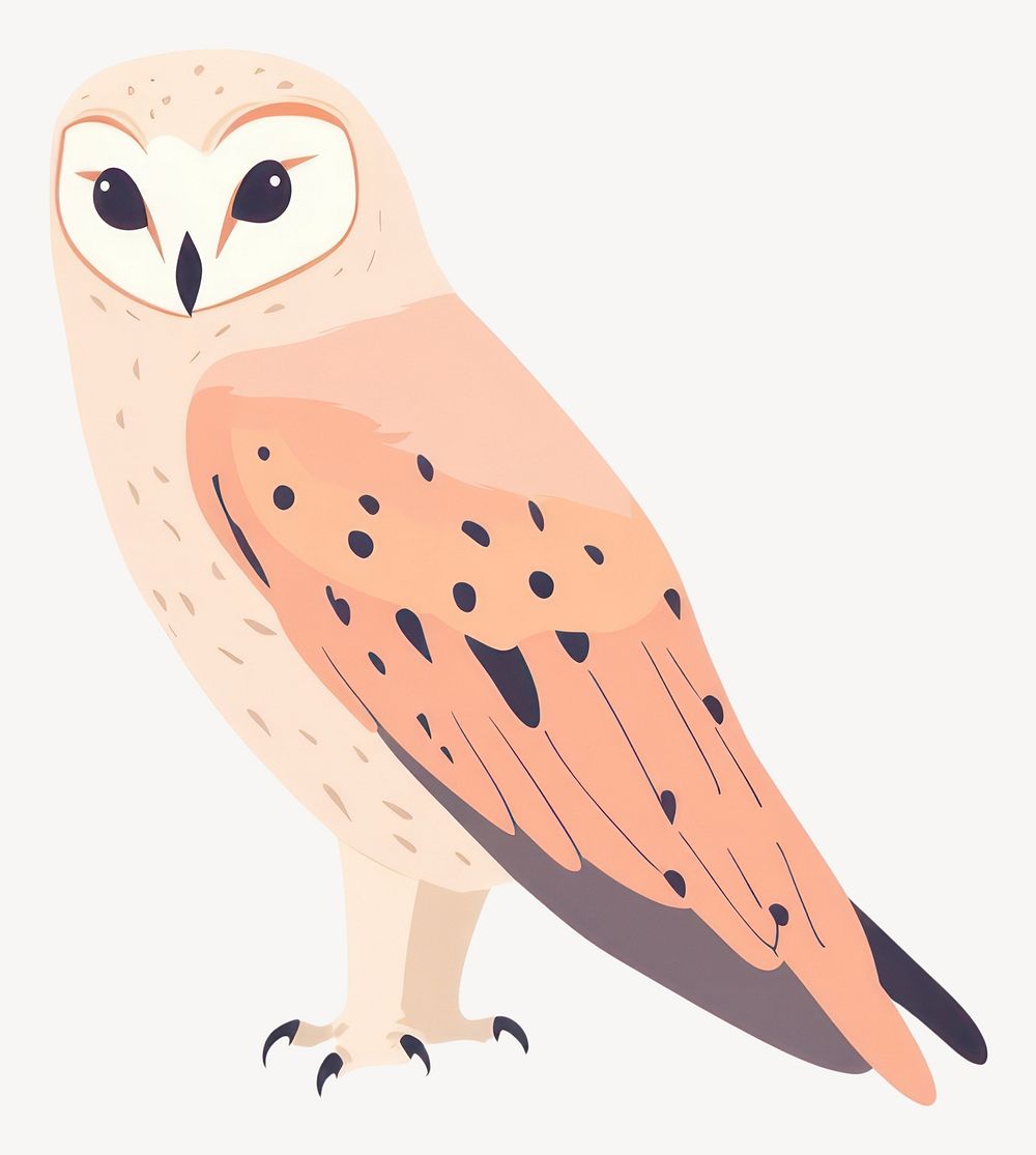 Owl illustration bird art vector | Free Vector - rawpixel
