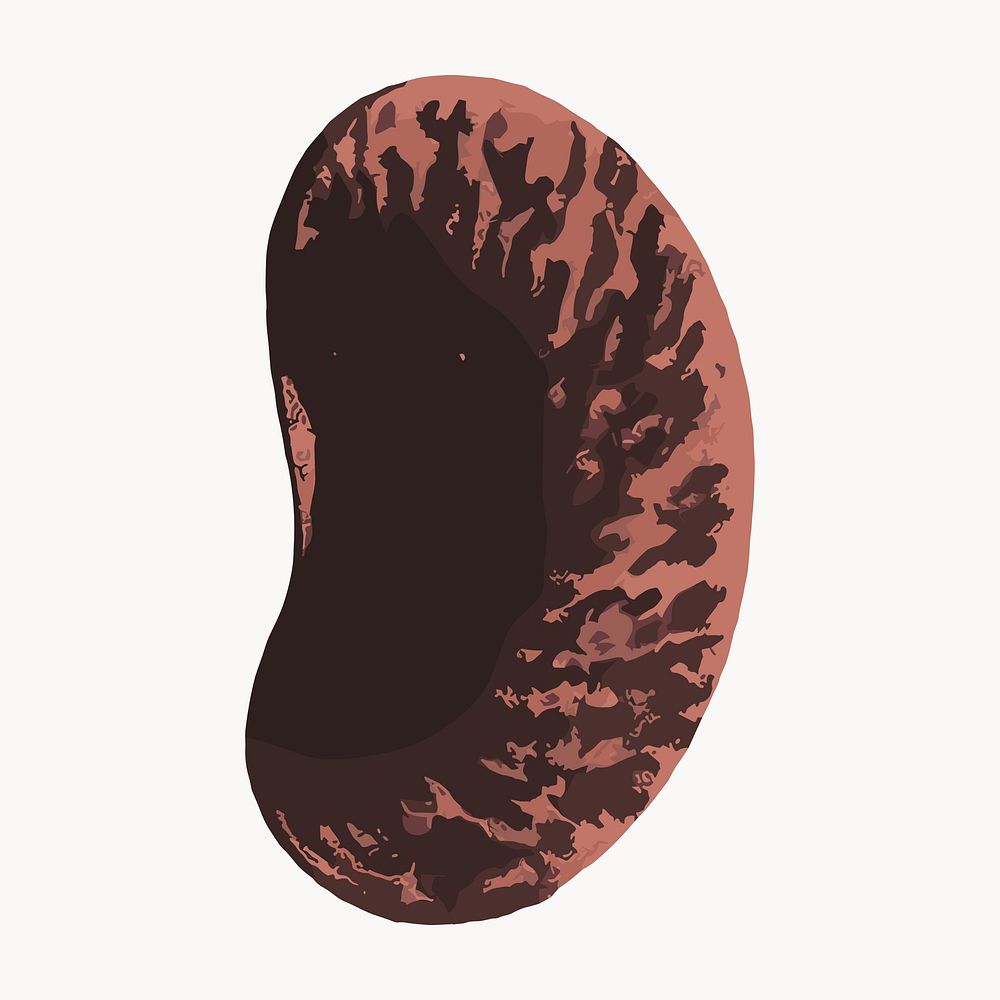 Abstract kidney bean illustration art | Free Vector - rawpixel
