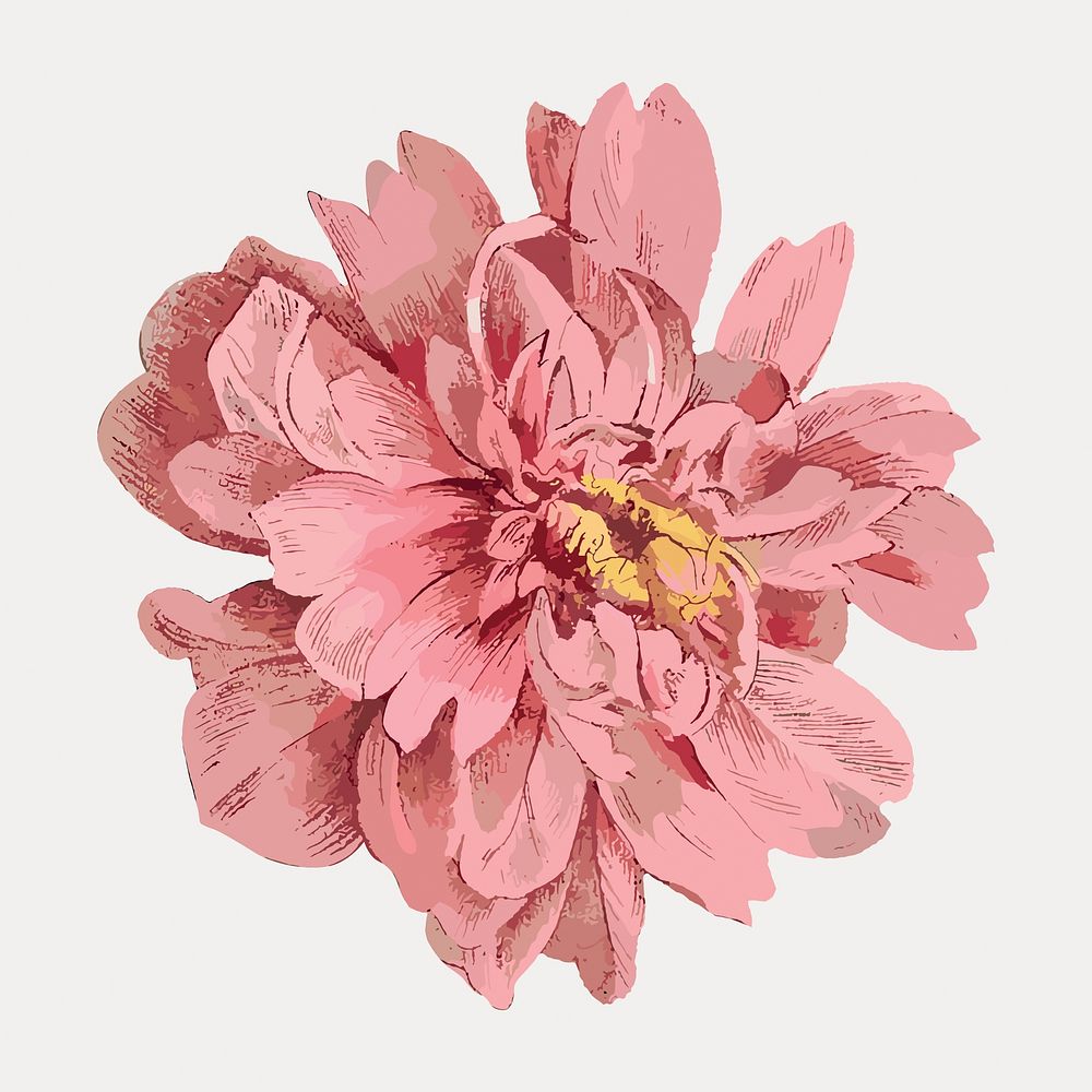 Pink flower vintage sticker vector. | Free Vector - rawpixel