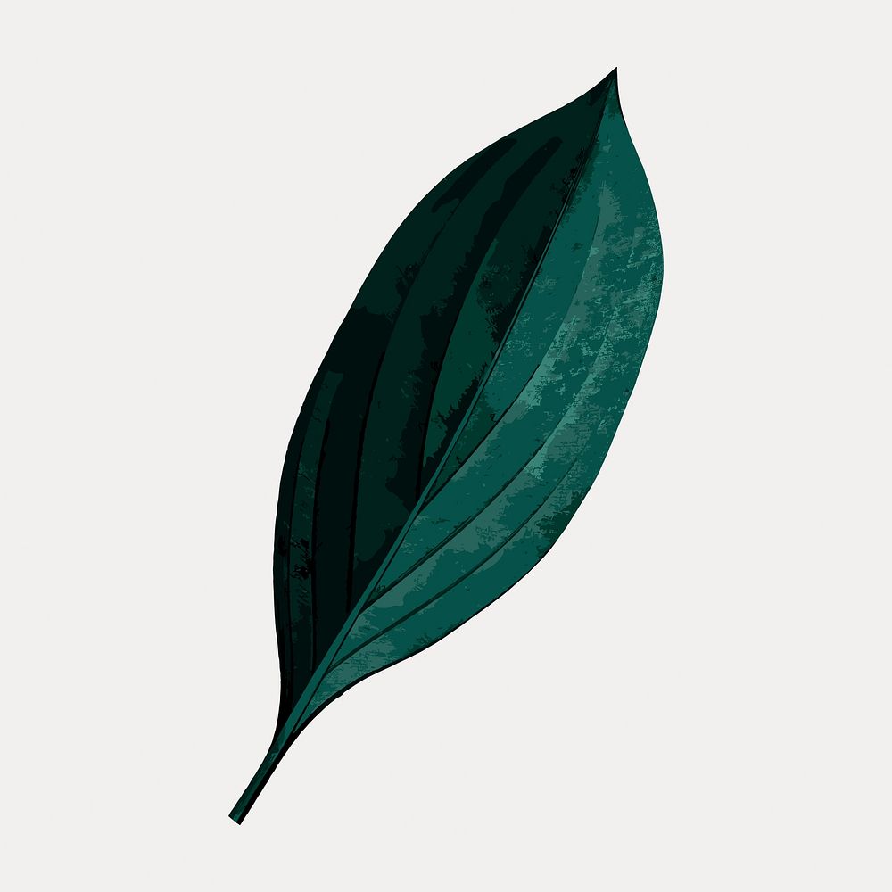 Dark green leaf, isolated vector | Free Vector - rawpixel Dark green leaf, isolated vector | Free Vector - rawpixel
