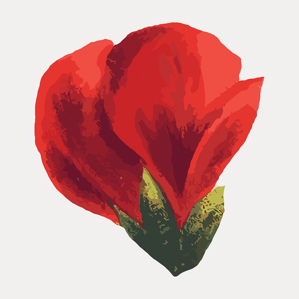 Vintage blooming red geranium flower, | Free Vector - rawpixel