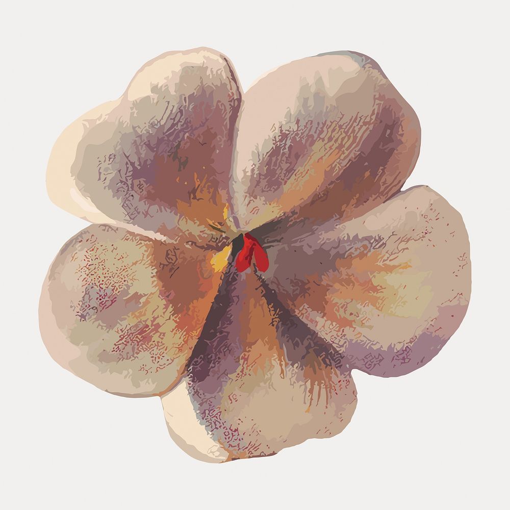 Vintage white geranium flower illustration | Free Vector - rawpixel