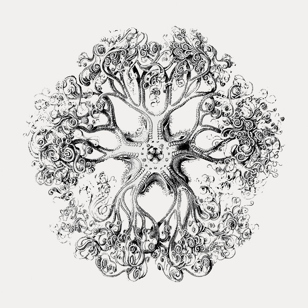 Vintage brittle star illustration vector. | Free Vector - rawpixel