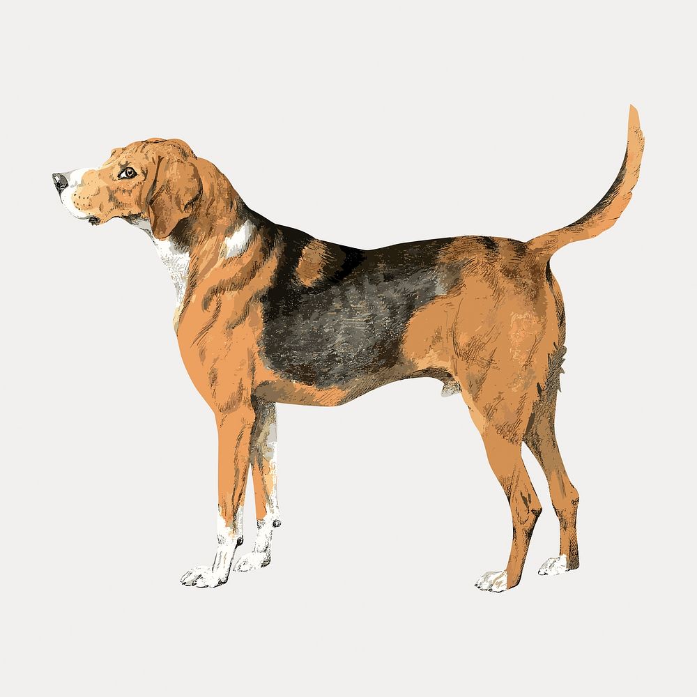 Standing dog, vintage pet animal | Free Vector - rawpixel