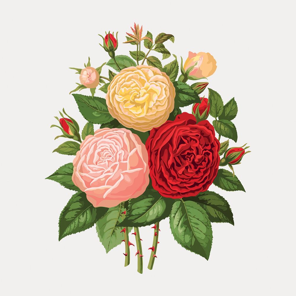 Vintage roses illustration 1879 edition | Free Vector - rawpixel