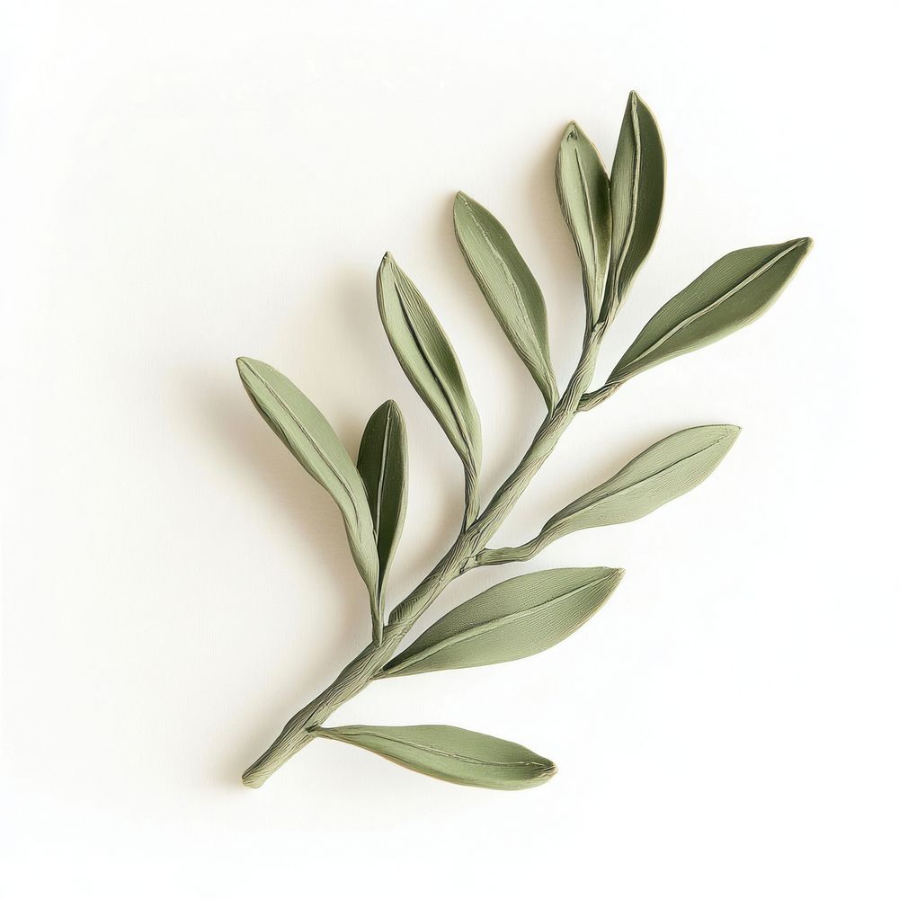 Olive branch leaf illustration annonaceae. | Free Photo - rawpixel