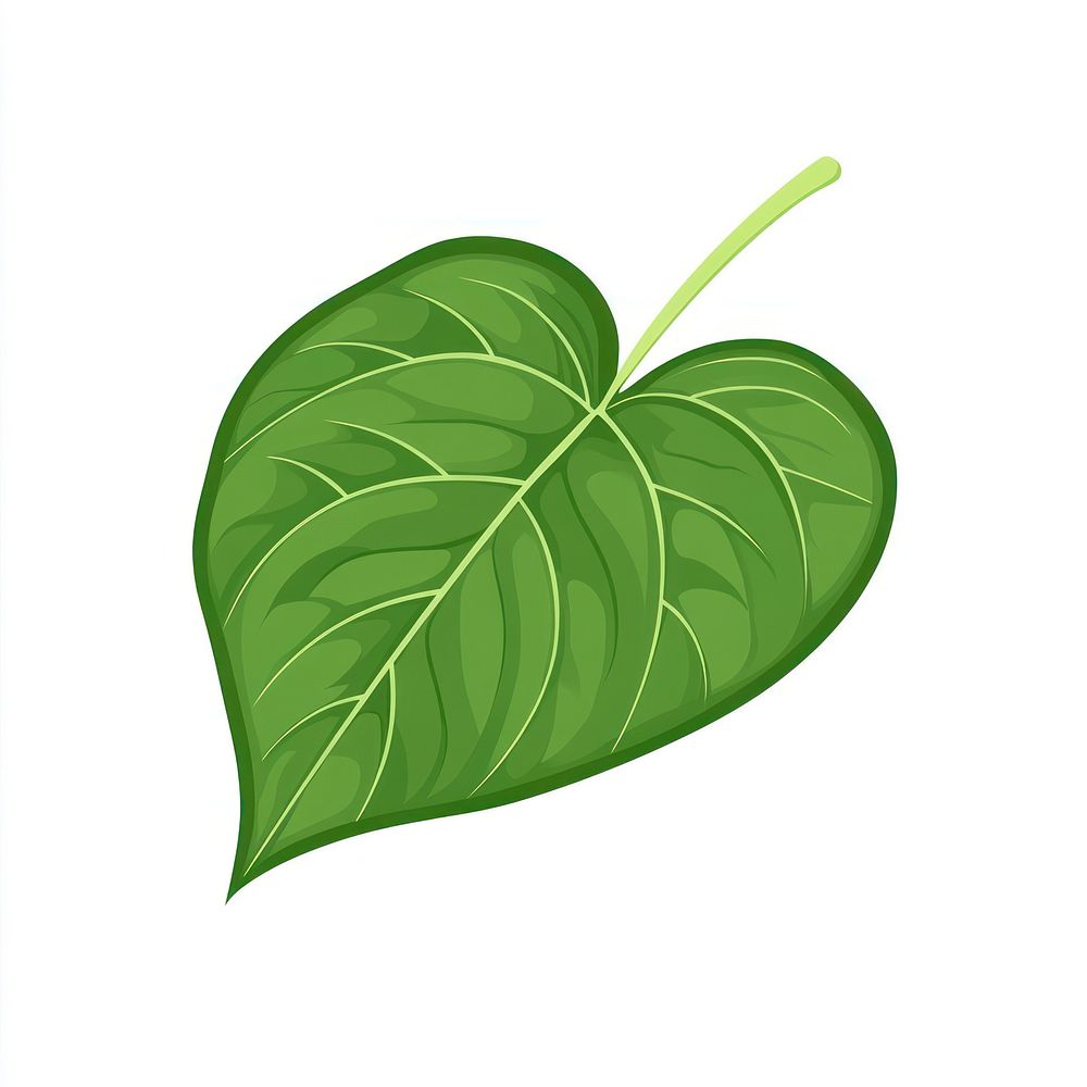 Green cordate leaf illustration heart-shaped | Free Photo Illustration ...