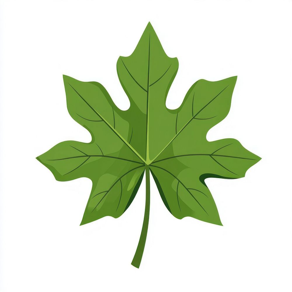 Green spatulate leaf illustration botanical | Free Photo Illustration ...