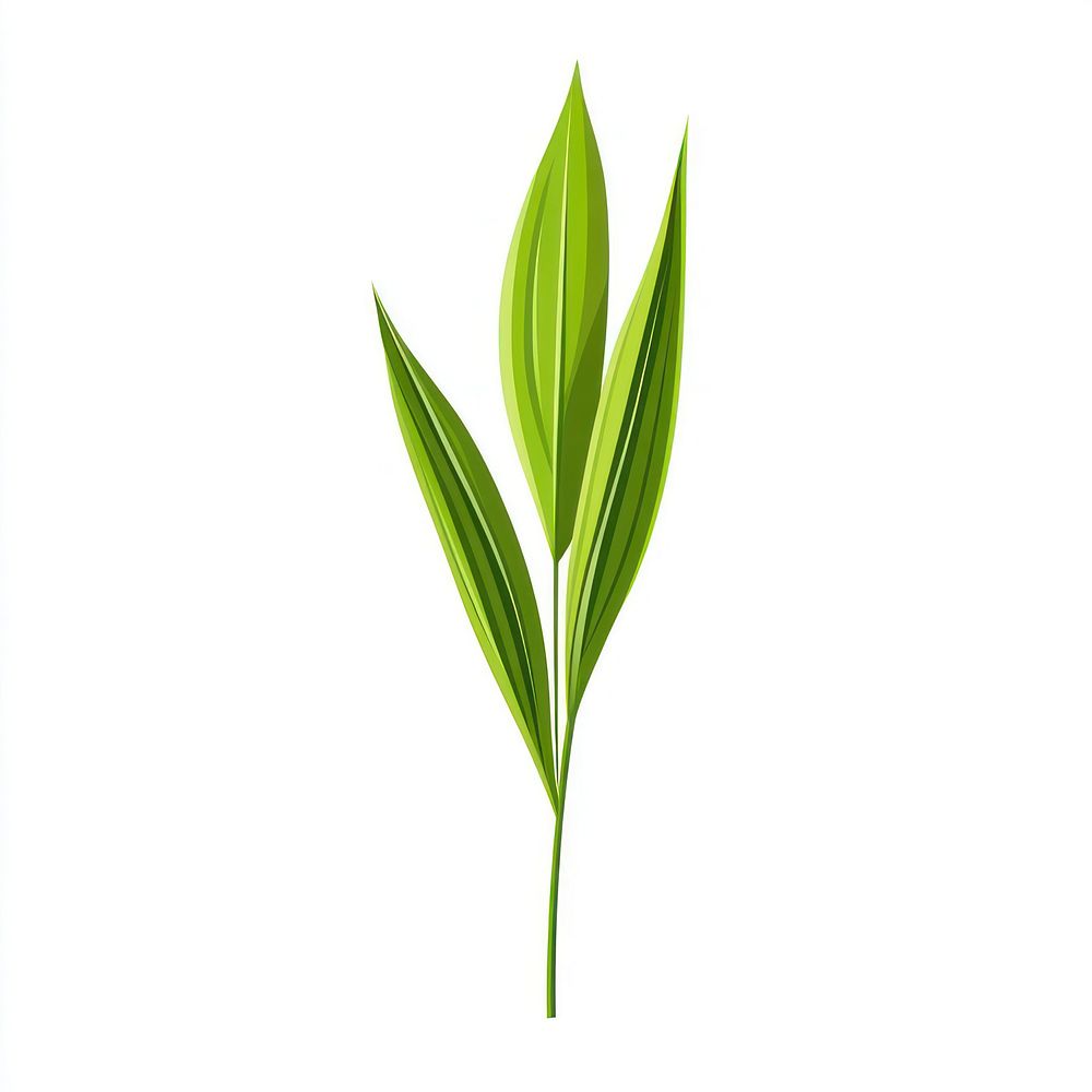Green reed leaf illustration plant | Free Photo Illustration - rawpixel