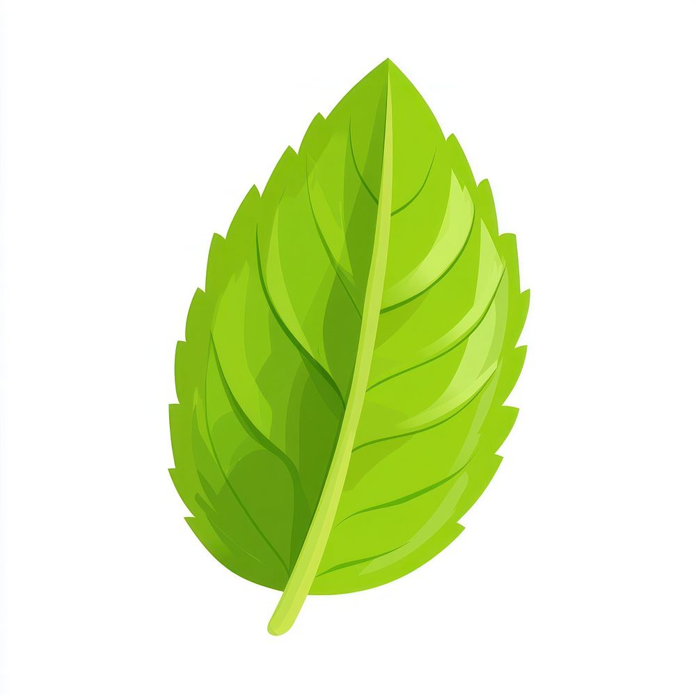 Tropical mint leaf illustration herbal | Free Photo Illustration - rawpixel