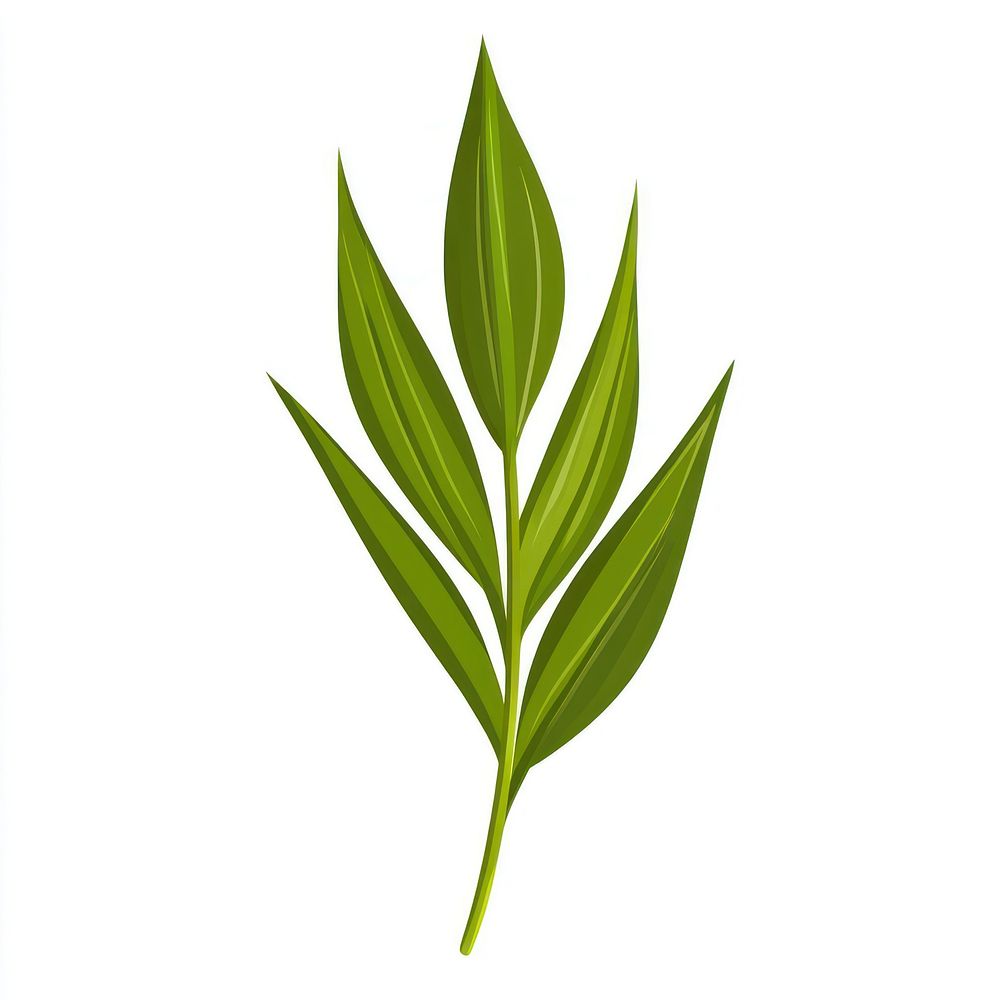 Green reed leaf illustration plant | Free Photo Illustration - rawpixel