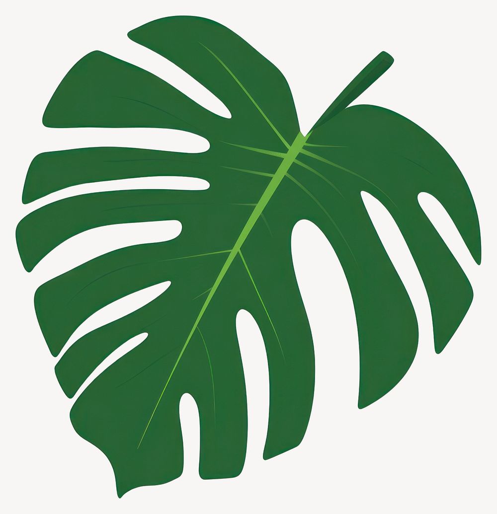 Monstera Shadow PNG Images | Free Photos, PNG Stickers, Wallpapers ...