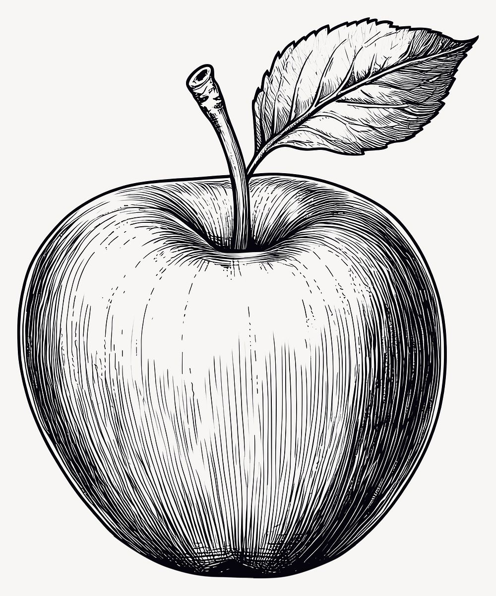 Apple art drawing sketch vector | Free Vector - rawpixel