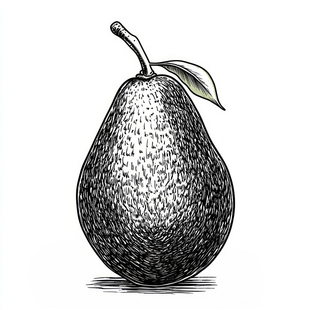 Avocado art drawing sketch. | Free Photo Illustration - rawpixel