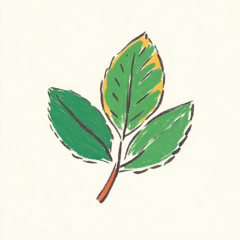 Leaf illustration art hand-drawn. | Free Photo Illustration - rawpixel