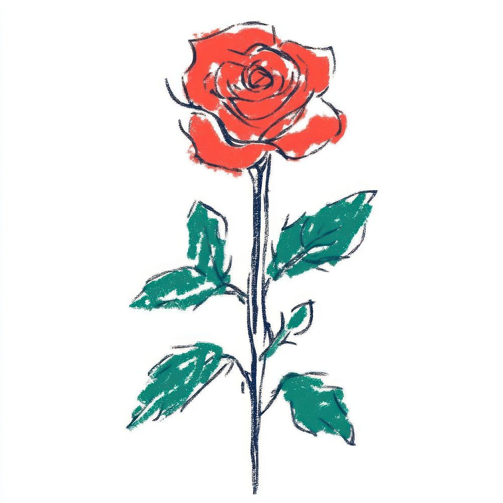 Rose illustration flower art. | Free Photo Illustration - rawpixel